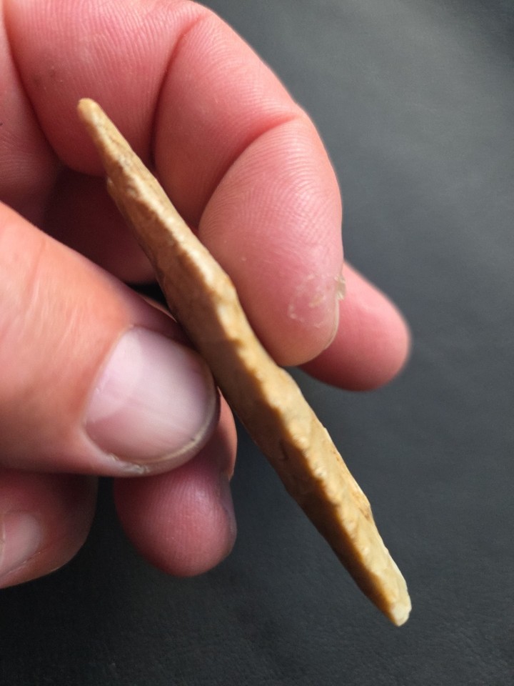 AUTHENTIC DALTON ARROWHEADS INDIAN ARTIFACTS STONE TOOLS NICE POINTS | eBay