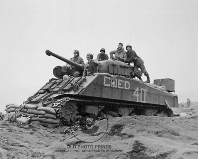 General Sherman Tank Coed 1945 Photo Marines WWII Iwo Jima 8X10 Print ...