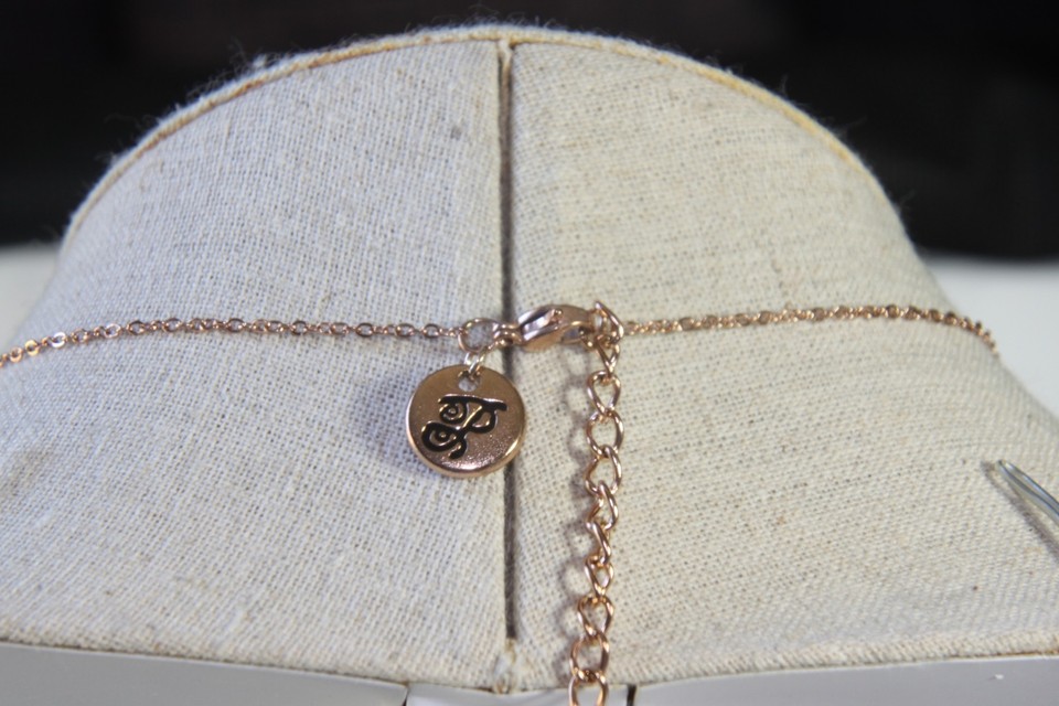 Plunder Necklace (new) ROSE GOLD BRAVE - CIRCLE PENDANT, CHAIN 18"-20. ...