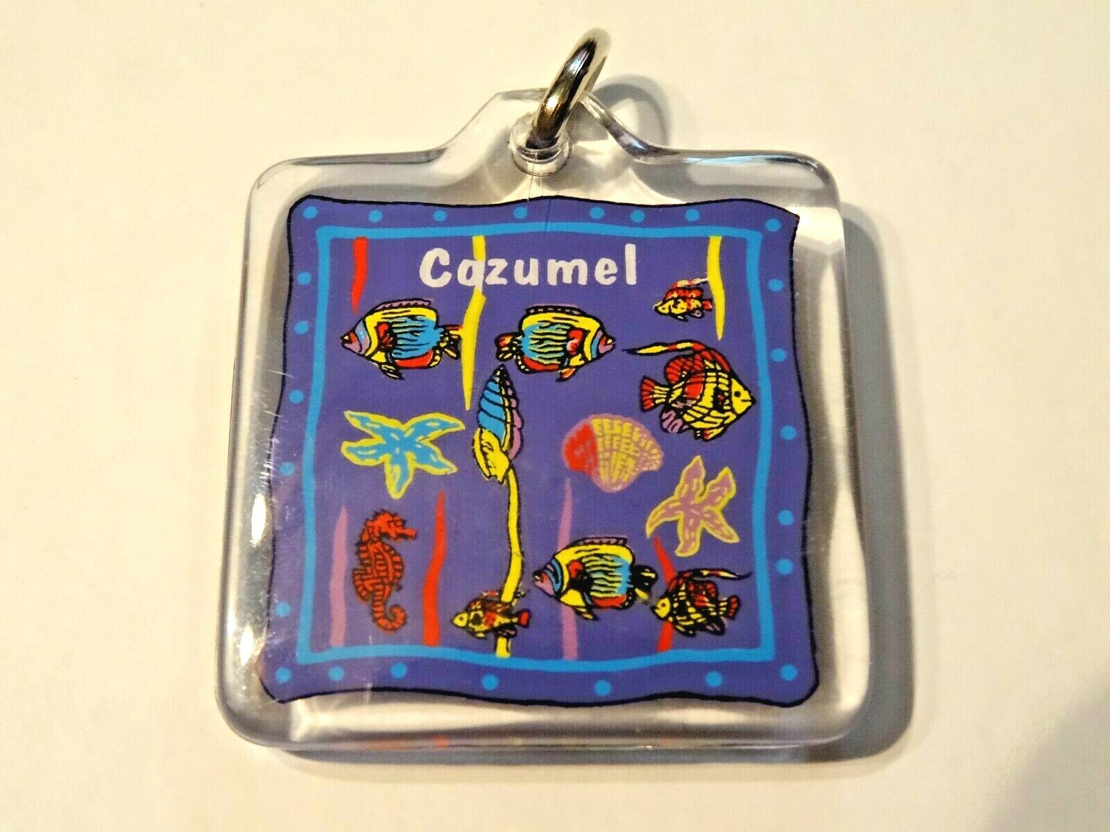 COZUMEL ~ NICE KEY CHAIN RING COZUMEL MEXICO SOUVENIR | eBay