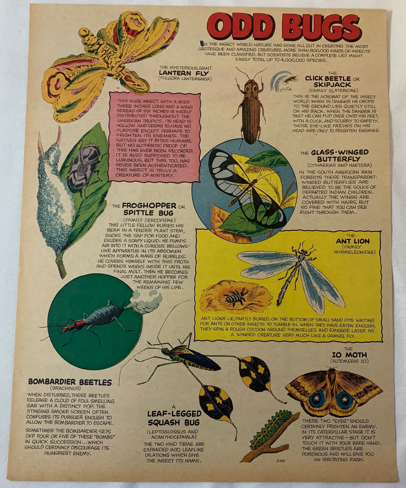 Beneficial Insects Poster