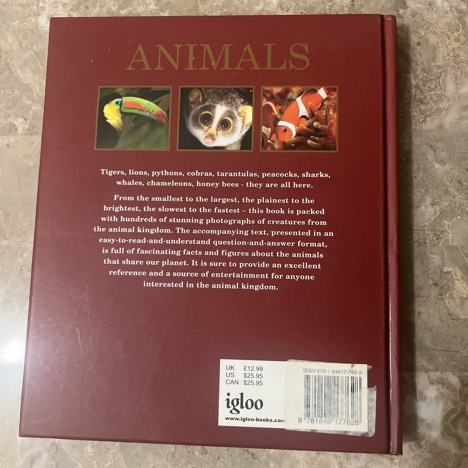Animals - Discover The Visual Wonder of The Animal Kingdom Igloo Books ...