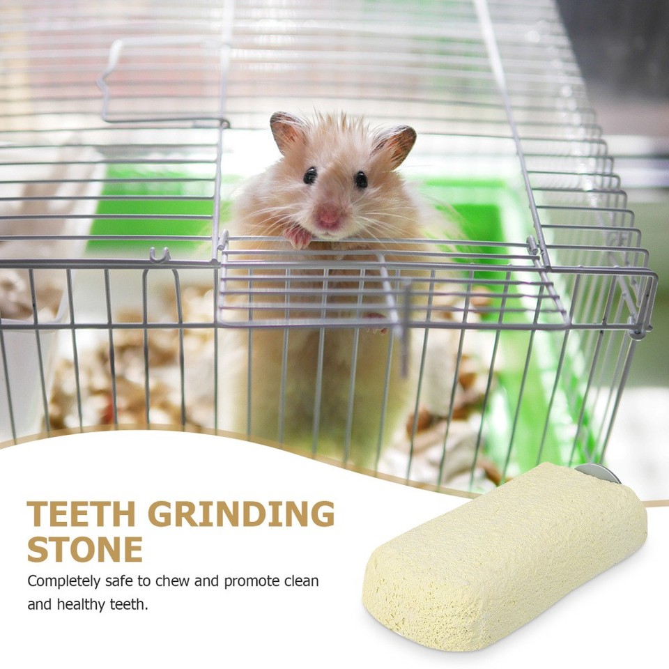 Parrot Beak Stone Animal Chew Squirrel Standing Platform Pet Teeth ...