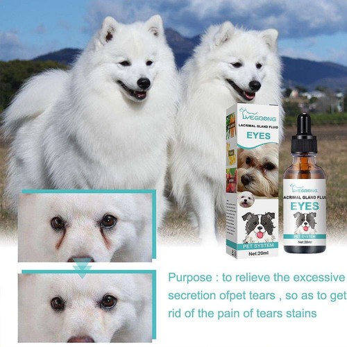 Pet Eye Drops For Conjunctivitis Dog Cat Horse Rabbit Animals All New ...