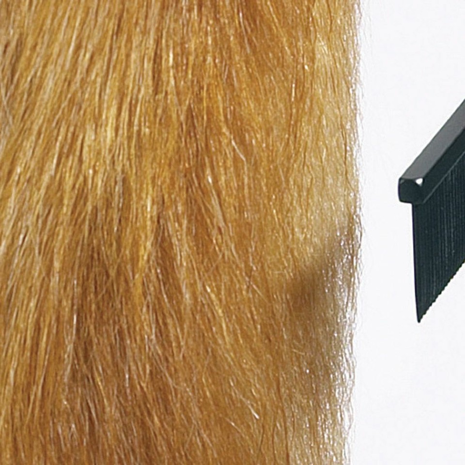 Master Grooming Tools XYLAC(Like TEFLON)PET FACE/FINISHING GREYHOUND ...