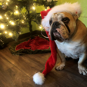 DPR CARDS | eBay Shops