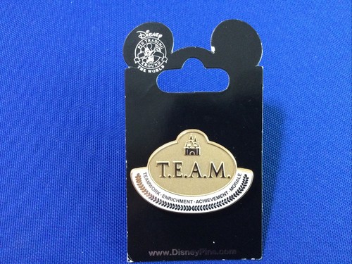 Disney Pin Cast Member Name Tag - TEAM - Teamwork Enrichment ...
