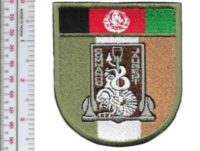 France Navy Afghanistan Commando Jaubert Airborne Combat Diver Marine Francaise | eBay