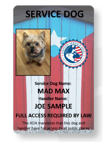 Service/Emotional support dog handler ID card INTERNATIONAL LISTING any ...