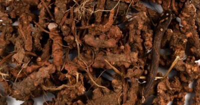 Wild Geranium Root, Cranesbill - Whole Dried Root, Appalachian 0.5 oz ...
