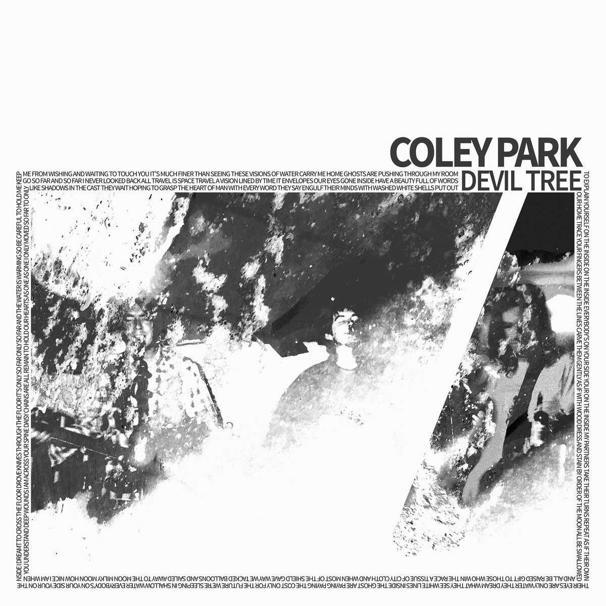Coley Park Devil Tree (Vinyl LP) 12" Album | eBay