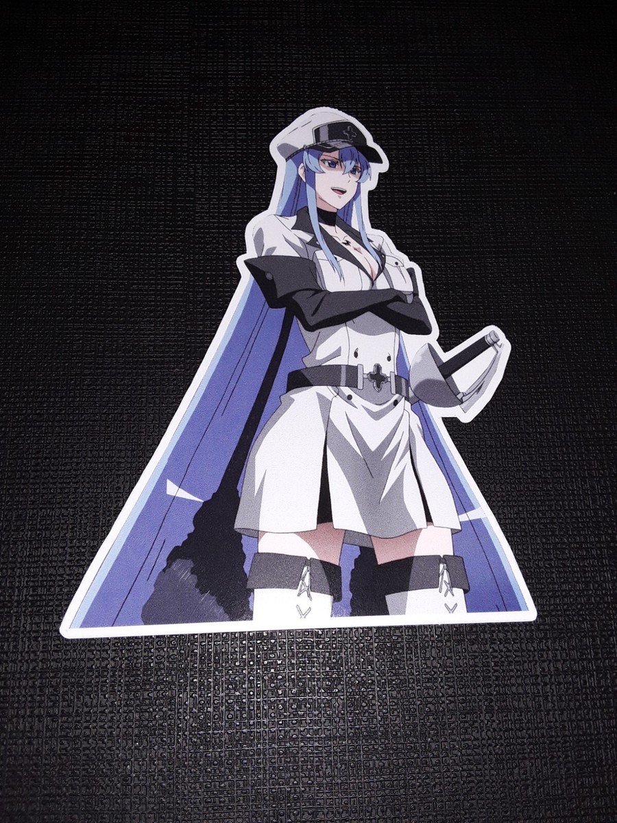 Akame Ga Kill Esdeath Akame Ga Kill Esdeath 1/6 Scale Statue Spec