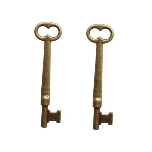 KY-30 Skeleton Key,Universal Skeleton Key with Double Notched Bit for ...