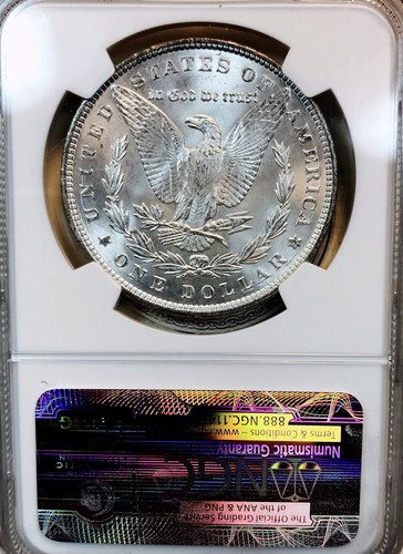 1900 MORGAN NGC MS65 WHITE AS WHITE! FLAWLESS EXAMPLE! STELLAR PQ ...