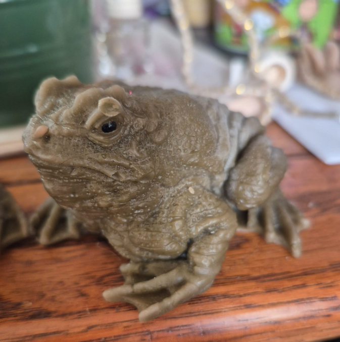 XXL Toad Wax Melt – Custom Scent – Funny Frog Shape – Handmade ...