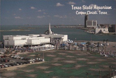 Texas State Aquarium,Corpus Christi,Texas,TX Frank B. Whaley Vintage ...