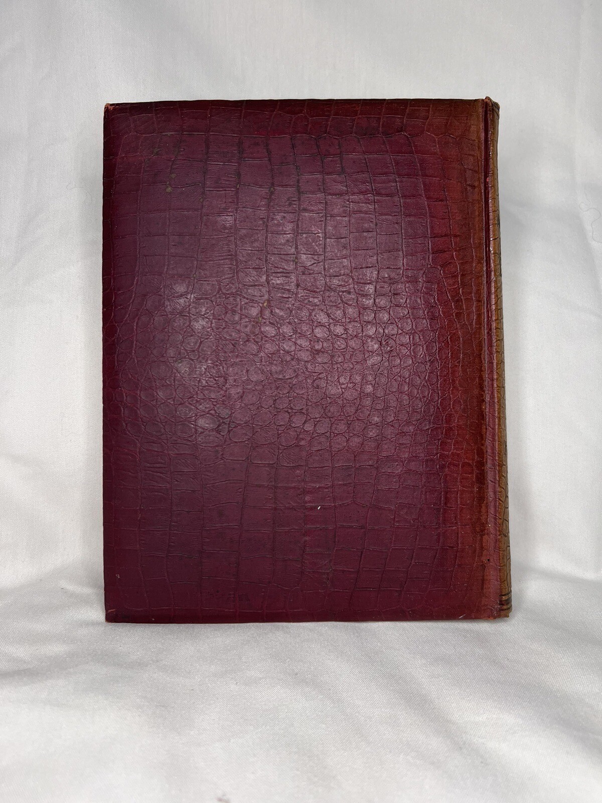 The Life And Achievements of Admiral Dewey, 1899 1st Book Halstead Gift ...