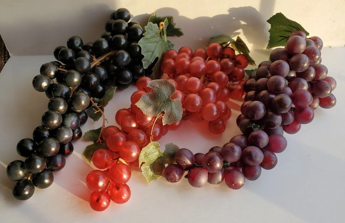 Concord Grape Clusters