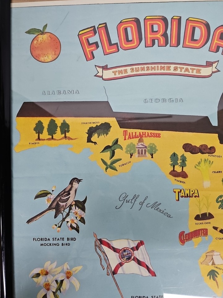 Florida The Sunshine State Map Poster | eBay