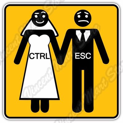 Bride Groom Husband Wife Marriage Funny Car Bumper Vinyl Sticker Decal ...