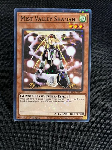 Mist Valley Shaman (Duel Terminal) HAC1-EN057 Common YuGiOh | eBay
