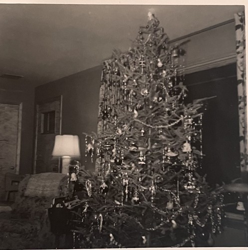 Vintage Original Photograph PORTRAIT OF A CHRISTMAS TREE | eBay