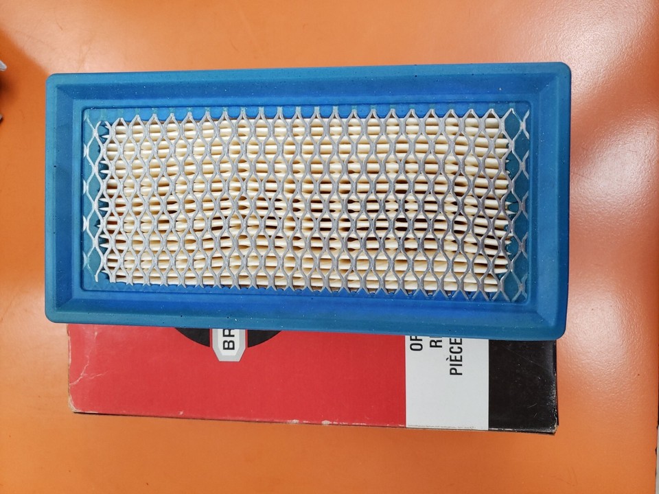 Briggs and Stratton OEM AC Cartridge Filter 691643,496077,102-230,30 ...