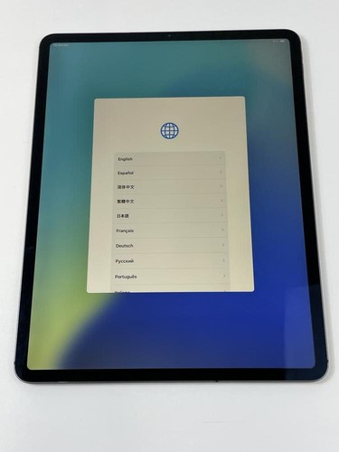 Apple iPad Pro 12.9" (4th Gen) 256GB (Unlocked) A2069 Space Gray - LCD ...