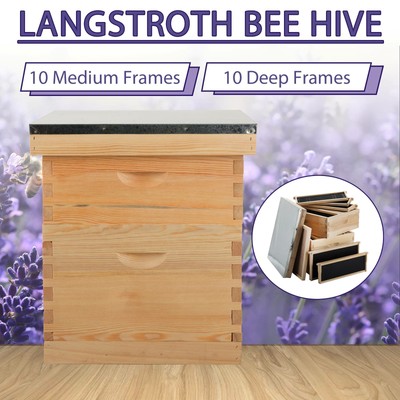 10 Deep 10 Medium Frames Hive Frame Bee Hive Beehive W.Metal Roof for ...