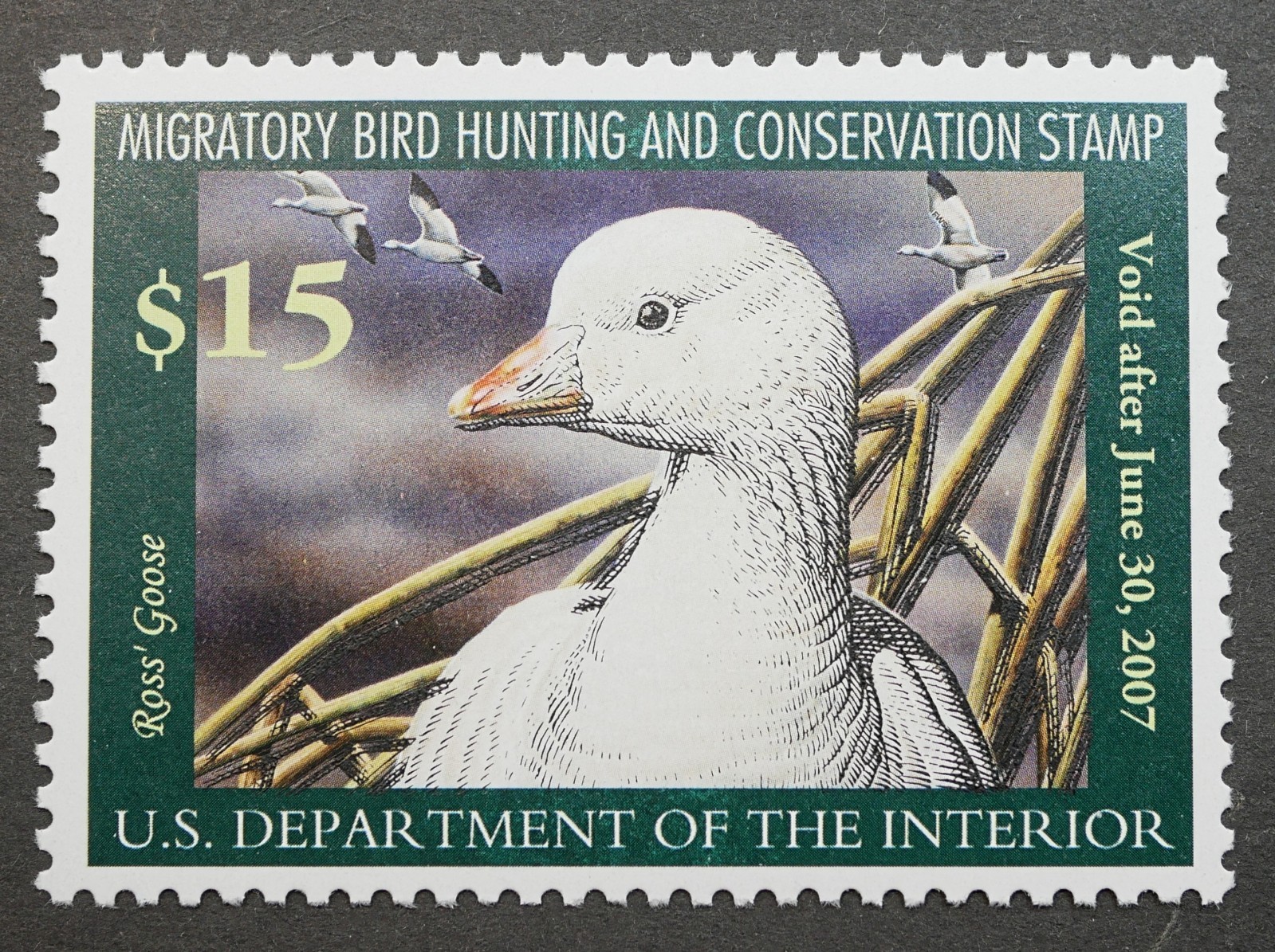 RW73 Federal Duck Hunting Stamp 2006 MNH OG Migratory Bird Hunting ...