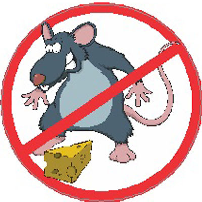 Union, No rats, CU-19 | eBay