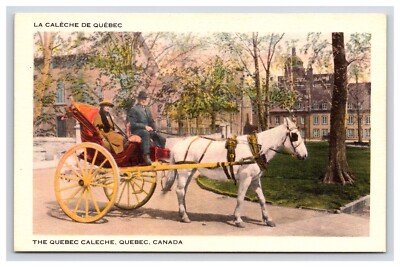 Postcard: QC The Quebec Caleche, Horse, Buggy, Quebec, Canada ...