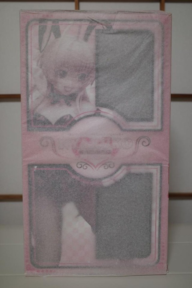 Haiyore! Nyaruko-san W Nyaruko Bunny Ver. 1/4 Scale Figure Complete | eBay