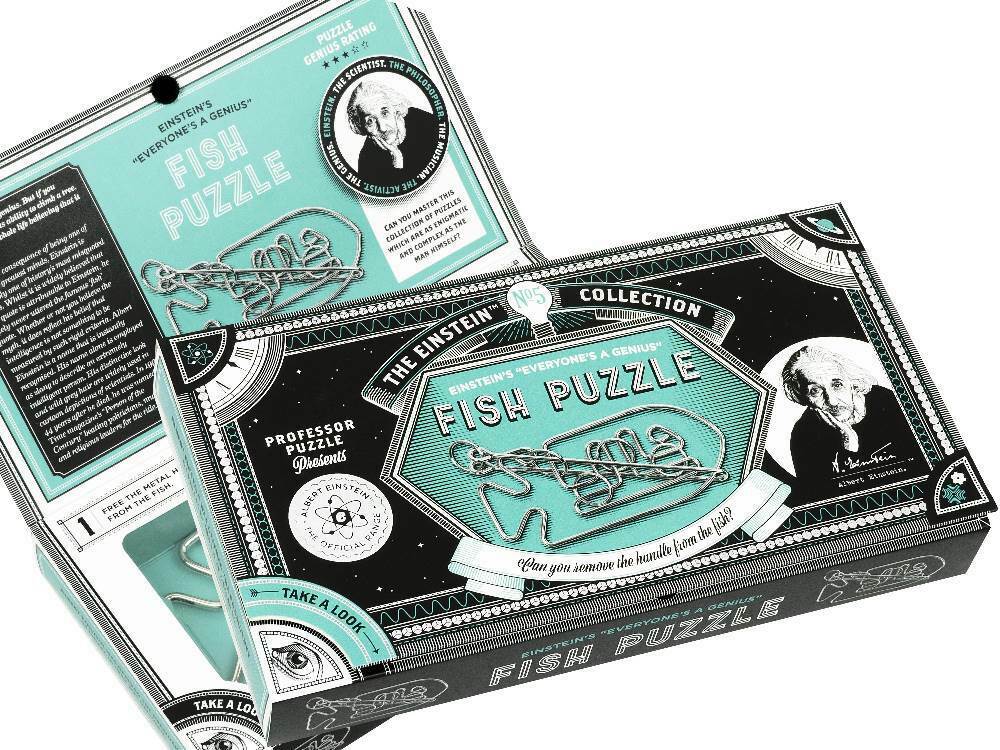 Einstein's Fish Brain Teaser Puzzle | eBay