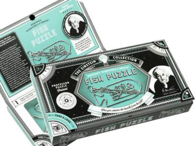 Einstein's Fish Brain Teaser Puzzle | eBay Australia