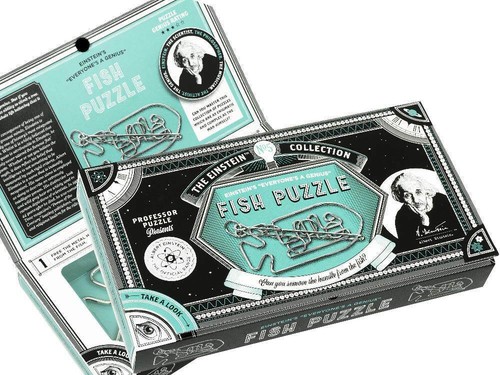 Einstein's Fish Brain Teaser Puzzle | eBay