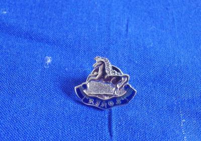 KING'S REGIMENT ( LIVERPOOL ) LAPEL PIN | eBay UK