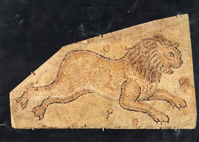 Syrian Lion Unposted Vintage Postcard Fifth Century A.D. 450-62 Kimbell ...