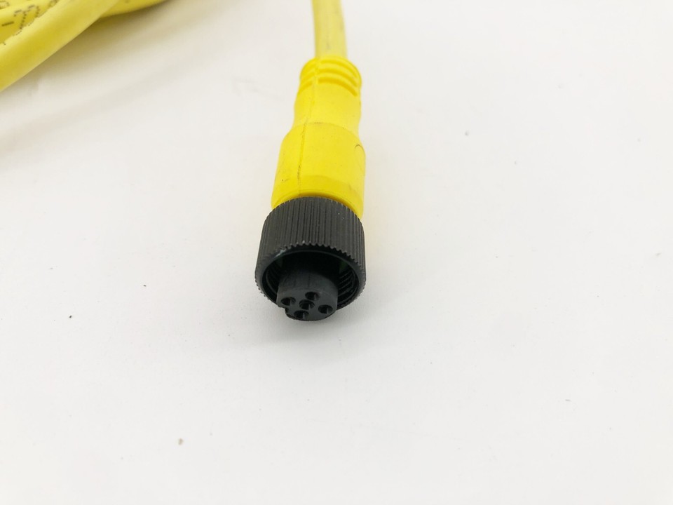 New Allen-Bradley 889D-F5AC-5 Cable Cordset M12 5-Pin DC Micro F 5m ...