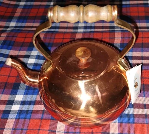 Vtg Tagus Copper Tea Kettle R-55 Copperware Wooden Handles Made In ...