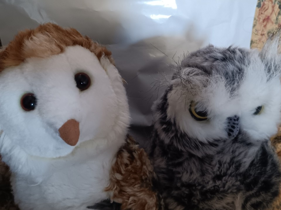 Cute Realistic Owl Stuffed Animal Aurora stuffed animals plush owls lot ...