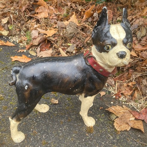 Cast Iron Boston Terrier Statue/Doorstop Probably Hubley | eBay