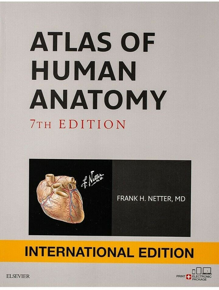 Netter Basic Science Ser.: Atlas of Human Anatomy by Frank H. Netter ...
