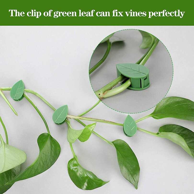 10 x Climbing Plant Wall Clips Invisible Fixture Hook Clip Vine Sticky ...