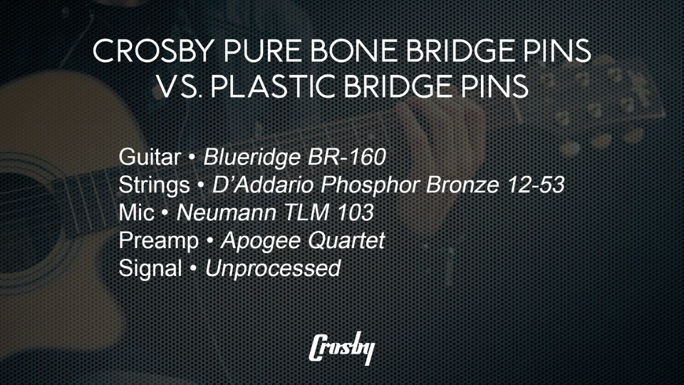 Crosby Slotted Pure Bone Bridge Pins with Abalone Dot for 6 & 12 String ...