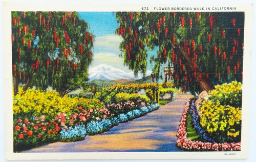 Flower Walk California Postcard Vintage Linen Floral Park Garden Nature ...
