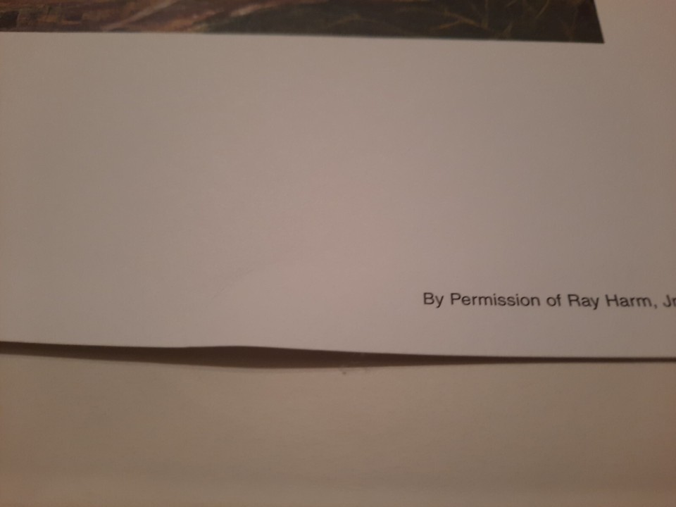 RAY HARM WILD TURKEY-3 BIRDS-$425.00 VALUE-$200 OFF-#42 OF 500 ...