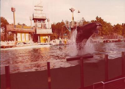 Florida 70's SEA WORLD Pro Photographer FOUND PHOTOGRAPH Color ORIGINAL ...