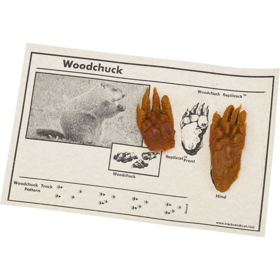 Forestry Suppliers Replitracks Fore and Hind Track Set | eBay