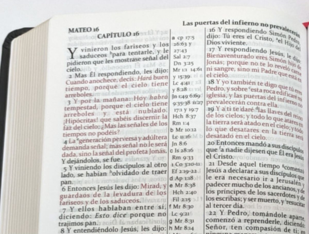 Reina Valera Gómez (RVG) 2010 | Spanish Bible | Center Reference Bonded ...